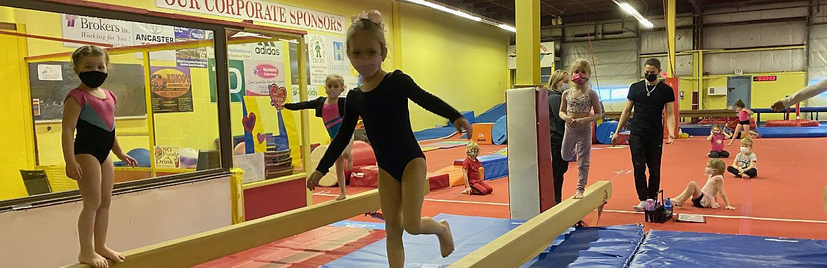 Home Page [hamiltongymnastics.com]